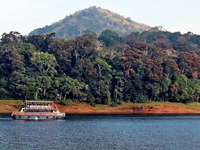 Top 15 Things to do in Thekkady | Attractions in Thekkady