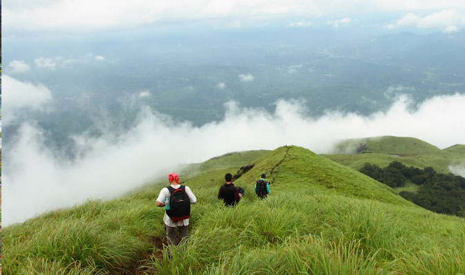 Vythiri Tree house Package | Vythiri Hill Station Package in Wayanad